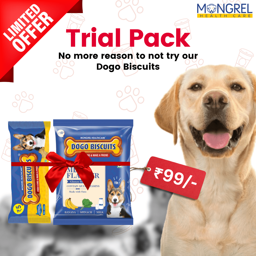 Trial Pack at just Rs. 99 - Mongrel Healhcare