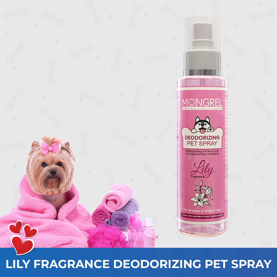 Mongrel healthcare Lily Fragrance Deodorizing Pet Spray Pack of 1 ...
