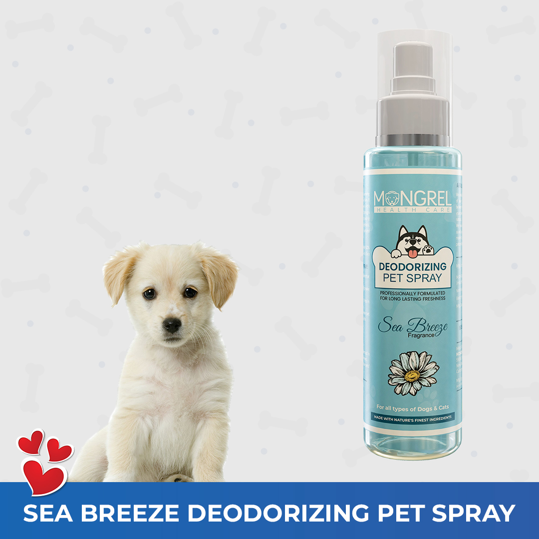 Mongrel healthcare Sea Breeze Deodorizing Pet Spray Pack of 1 - Dogo Biscuits