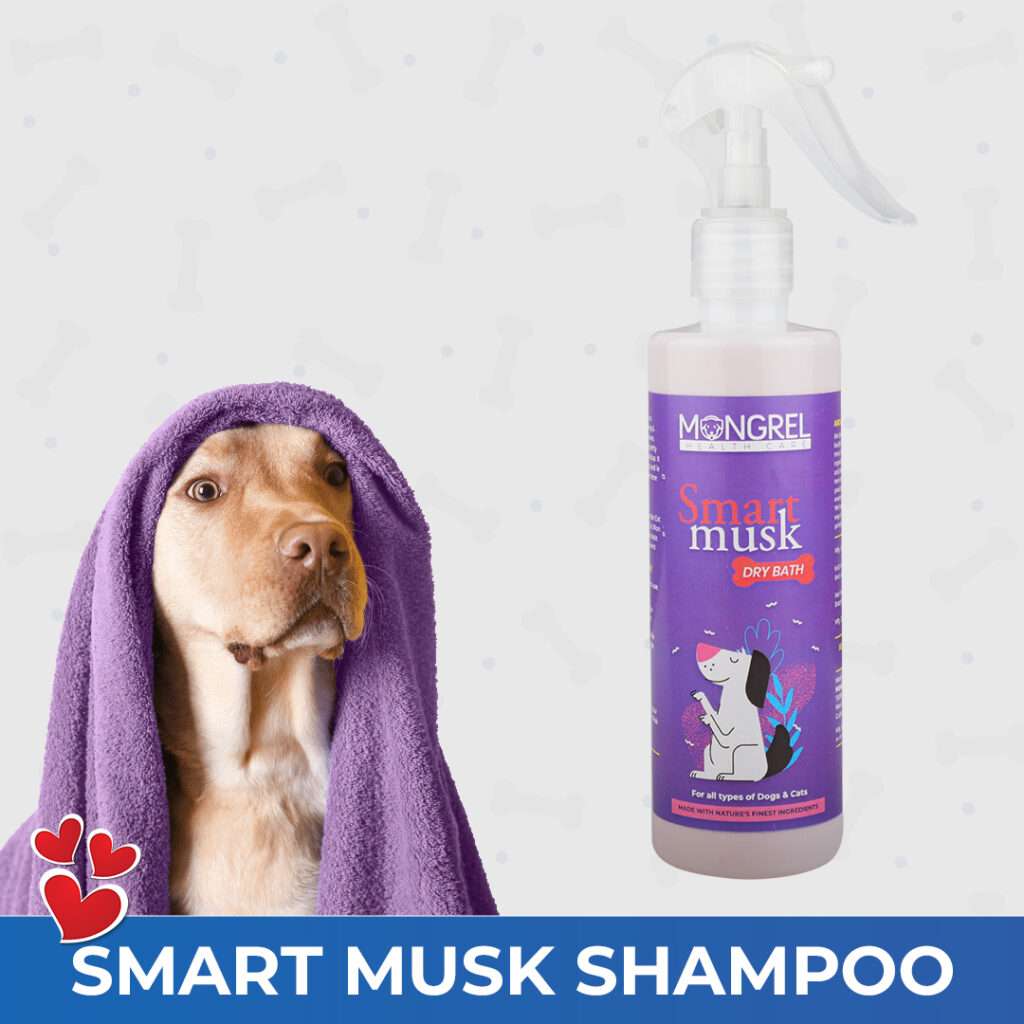 Mongrel Healthcare Smart Musk Dry Bath Waterless Spray Dog Shampoo ...